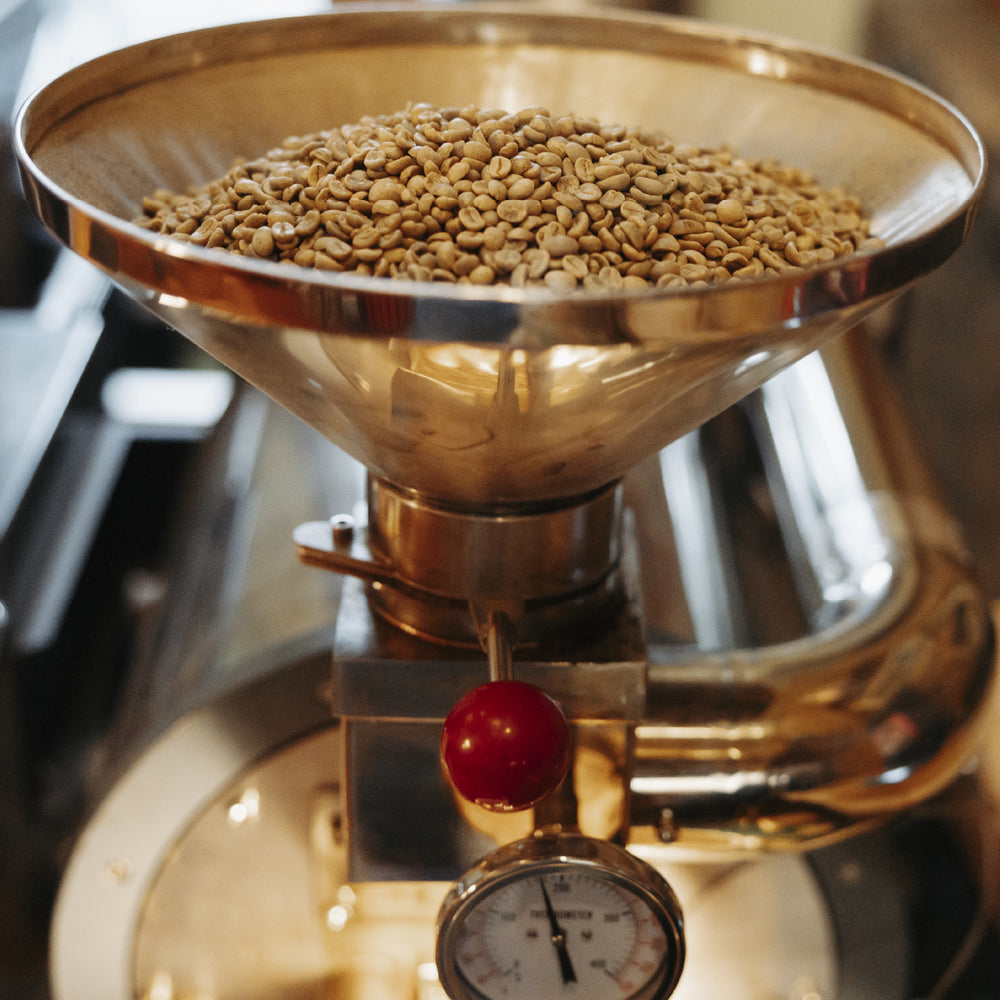 Mocha Monkey Coffee Roastery | Small-Batch Roasting & Sustainable Blends